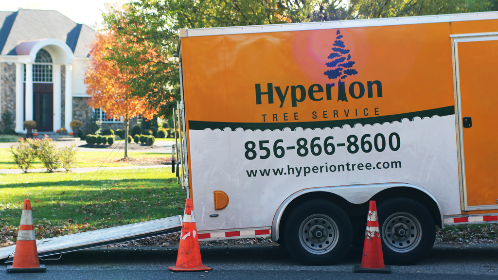 Tree Landscaping and Emergency Services | Hyperion Tree Service